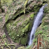 Chuckanut Falls, Washington - 640 Reviews, Map | AllTrails