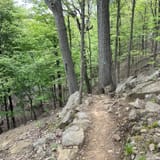Hook Mountain and Nyack Beach Loop, New York - 3,800 Reviews, Map ...