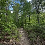 Hideout Hollow Trail, Arkansas - 582 Reviews, Map | AllTrails