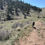 Cherokee Park Trail, Colorado - 9 Reviews, Map | AllTrails