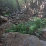Vergenoeg Hiking Trail: Black Route, North West, South Africa - 323 ...