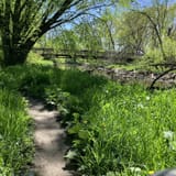 Camrock Trail, Wisconsin - 275 Reviews, Map | AllTrails