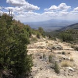 Douglas Spring Camp via Douglas Spring Trail, Arizona - 470 Reviews ...