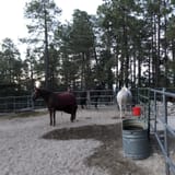 Douglas Spring Camp via Douglas Spring Trail, Arizona - 439 Reviews ...