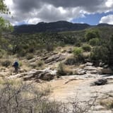 Douglas Spring Camp via Douglas Spring Trail, Arizona - 470 Reviews ...