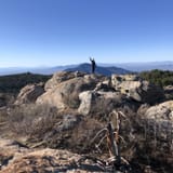 Douglas Spring Camp via Douglas Spring Trail, Arizona - 439 Reviews ...