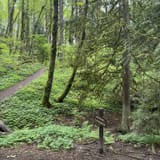 Tryon Creek Triple Bridge Loop, Oregon - 1,506 Reviews, Map | AllTrails