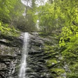 Sill Branch Falls, Tennessee - 740 Reviews, Map | AllTrails