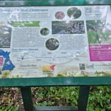 Moon Seed Loop, Louisiana - 367 Reviews, Map | AllTrails