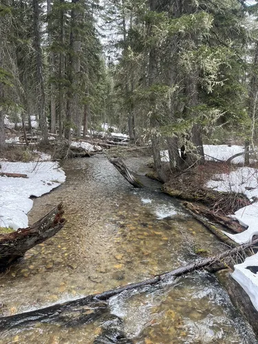 Best Easy Trails in Bridger-Teton National Forest - Jackson Ranger ...