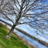 Androscoggin River Bike Path, Maine - 465 Reviews, Map | AllTrails