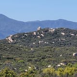 Morgan Trail, California - 536 Reviews, Map | AllTrails