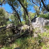 Morgan Trail, California - 536 Reviews, Map | AllTrails