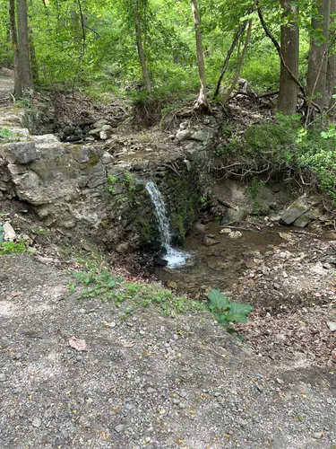 Best Historic Site Trails in Phoenixville | AllTrails