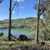 Lake Chabot Loop via West, Bass, Columbine, Honker, East Shore Trails ...
