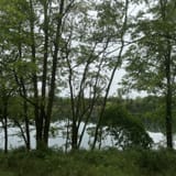 Silver Lake Loop, Virginia - 233 Reviews, Map | AllTrails