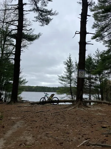 Best Mountain Biking Trails in Massasoit State Park | AllTrails