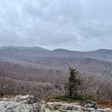 Mount Roberts Trail, New Hampshire - 2,544 Reviews, Map | AllTrails