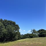 Edgewood Trail Loop, California - 2,571 Reviews, Map | AllTrails