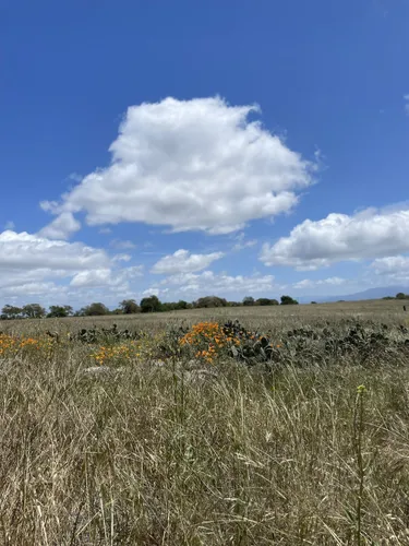 Best Long Trails in Santa Rosa Plateau Ecological Reserve | AllTrails