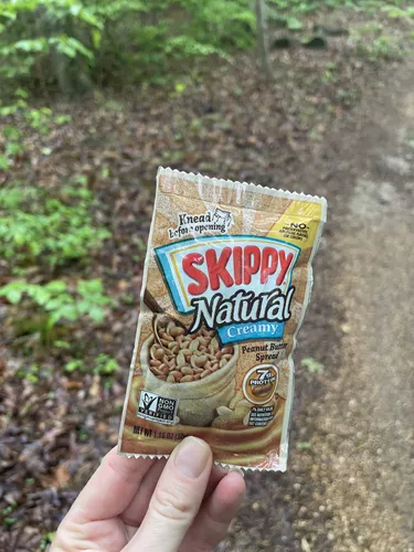 Best Lake Trails in Salem State Forest | AllTrails