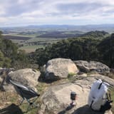 Mount Beckworth Circuit, Victoria, Australia - 80 Reviews, Map | AllTrails
