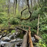 Ramsey Cascades Trail, Tennessee - 2,347 Reviews, Map | AllTrails