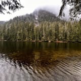 Barclay Lake Trail, Washington - 1,906 Reviews, Map | AllTrails