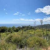 Paseo Miramar Trail , California - 2,249 Reviews, Map | AllTrails