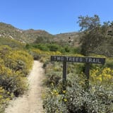 Two Trees Trail, California - 1,389 Reviews, Map | AllTrails