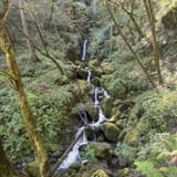 Cataract Falls Trail, California - 3,716 Reviews, Map | AllTrails