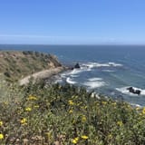 Terranea Discovery Trail, California - 1,470 Reviews, Map | AllTrails