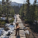 Angel Rocks Trail, Alaska - 802 Reviews, Map | AllTrails