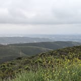 Black Mountain via Nighthawk Trail Loop, California - 1,013 Reviews ...