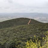 Black Mountain via Nighthawk Trail Loop, California - 1,013 Reviews ...