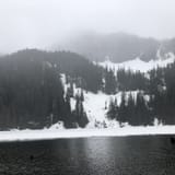 Annette Lake Trail, Washington - 5,688 Reviews, Map | AllTrails