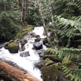 Annette Lake Trail, Washington - 5,688 Reviews, Map | AllTrails