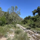 Rogers Canyon Trail via Reavis Ranch Trail, Arizona - 324 Reviews, Map ...