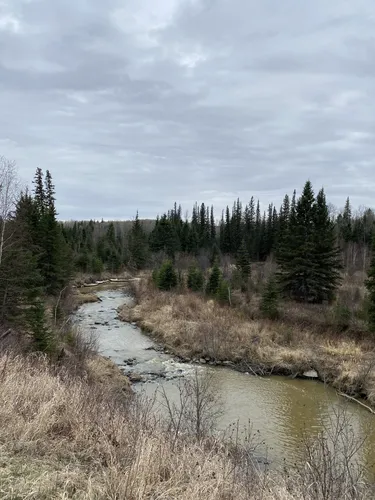 Best City Walk Trails in Athabasca | AllTrails