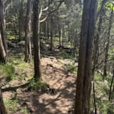 Day Loop Trail, Tennessee - 4,128 Reviews, Map | AllTrails