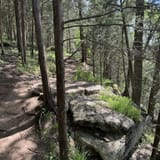 Day Loop Trail, Tennessee - 4,128 Reviews, Map | AllTrails