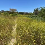 Hansen Dam Bike Path Trail, California - 513 Reviews, Map | AllTrails