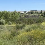 Hansen Dam Bike Path Trail, California - 513 Reviews, Map | AllTrails