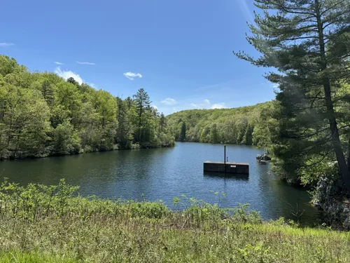 Best Views Trails in Wardensville Wildlife Management Area | AllTrails