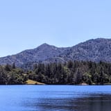 Bon Tempe Lake Loop, California - 2,083 Reviews, Map | AllTrails