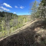 The Manistee River Loop Trail, Michigan - 2,062 Reviews, Map | AllTrails