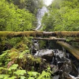 Wilson River Trail, Oregon - 654 Reviews, Map | AllTrails