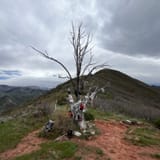 Storm King Mountain Memorial Trail, Colorado - 630 Reviews, Map | AllTrails