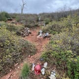 Storm King Mountain Memorial Trail, Colorado - 630 Reviews, Map | AllTrails