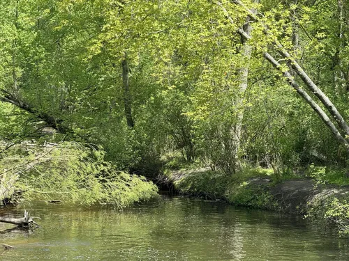 Best Walking Trails in Allegan State Game Area | AllTrails